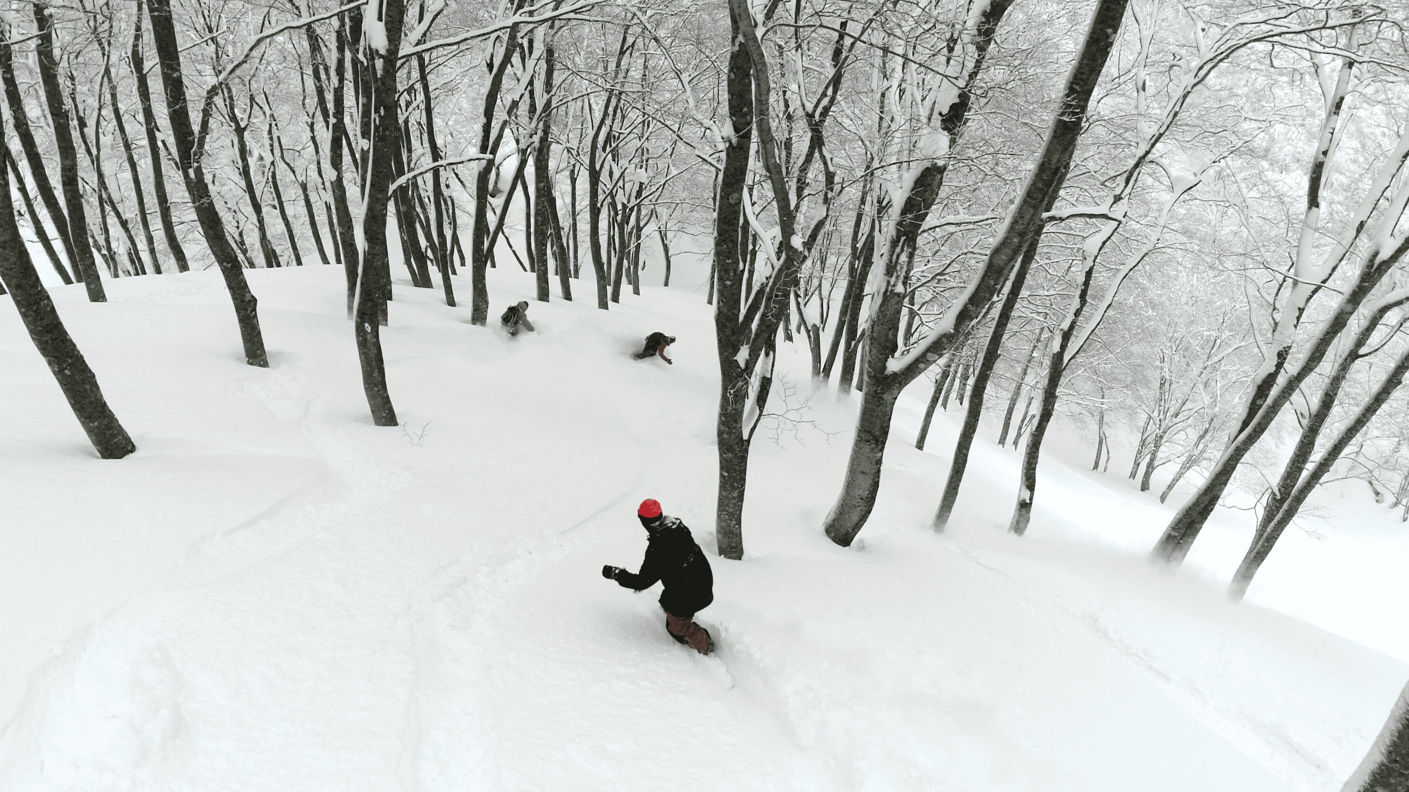 Why Hakuba Cortina Is A Must Visit - MountainWatch Travel
