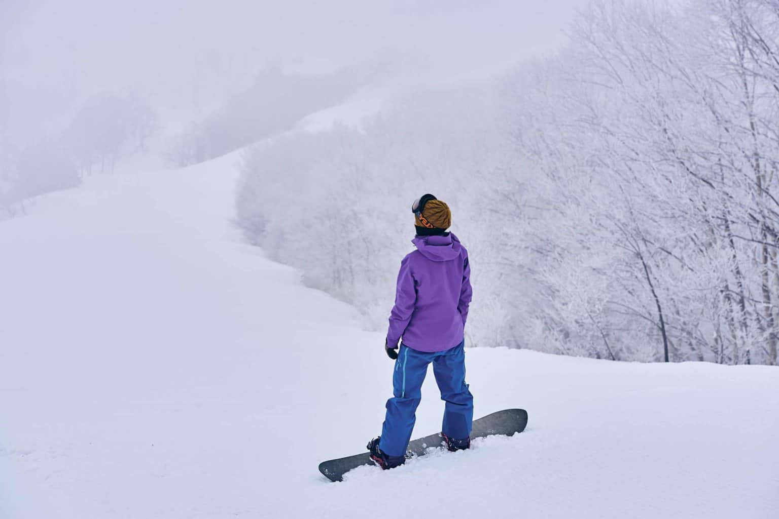 Madarao Kogen Japan - Everything you need to know for your next Ski holiday