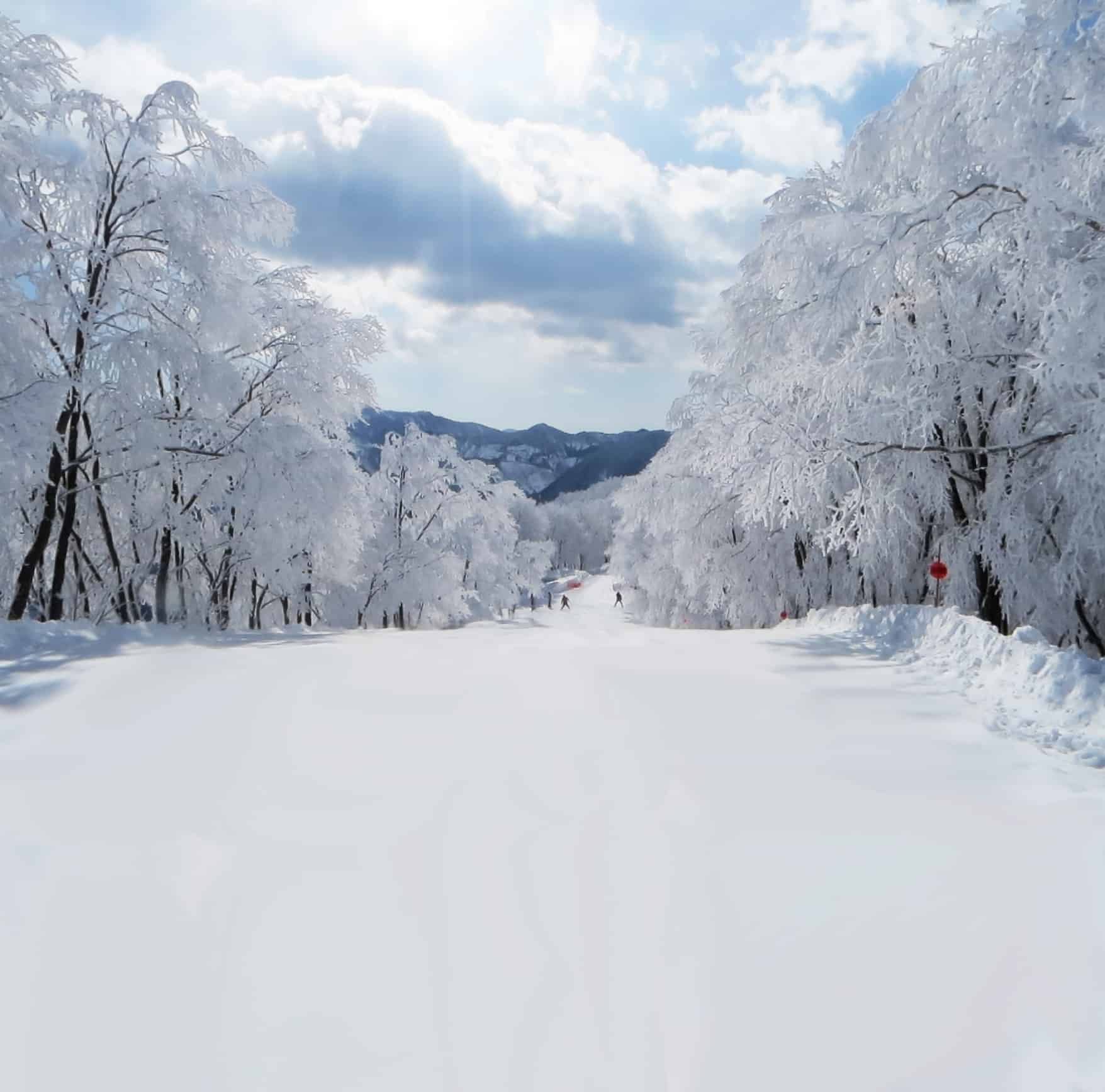 Why Hakuba Cortina Is A Must Visit - MountainWatch Travel