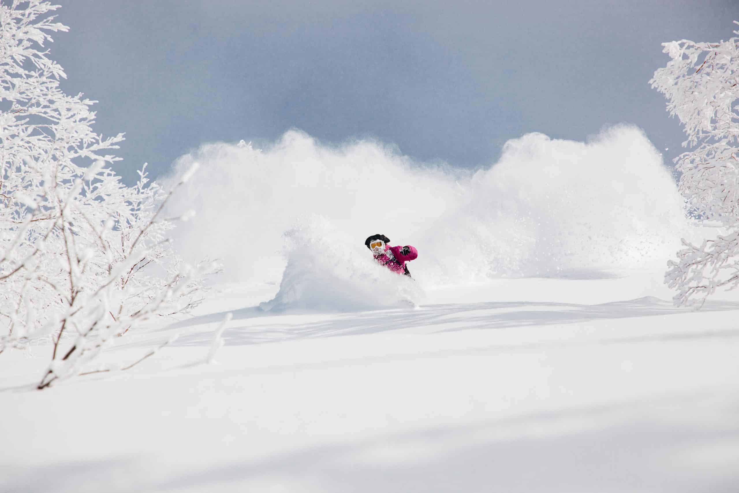 Why You Need To Visit Niseko - MountainWatch Travel