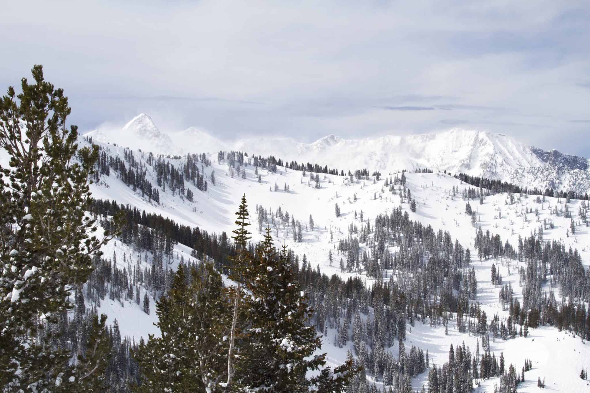 Snowbird USA - Everything you need to know for your next Ski holiday