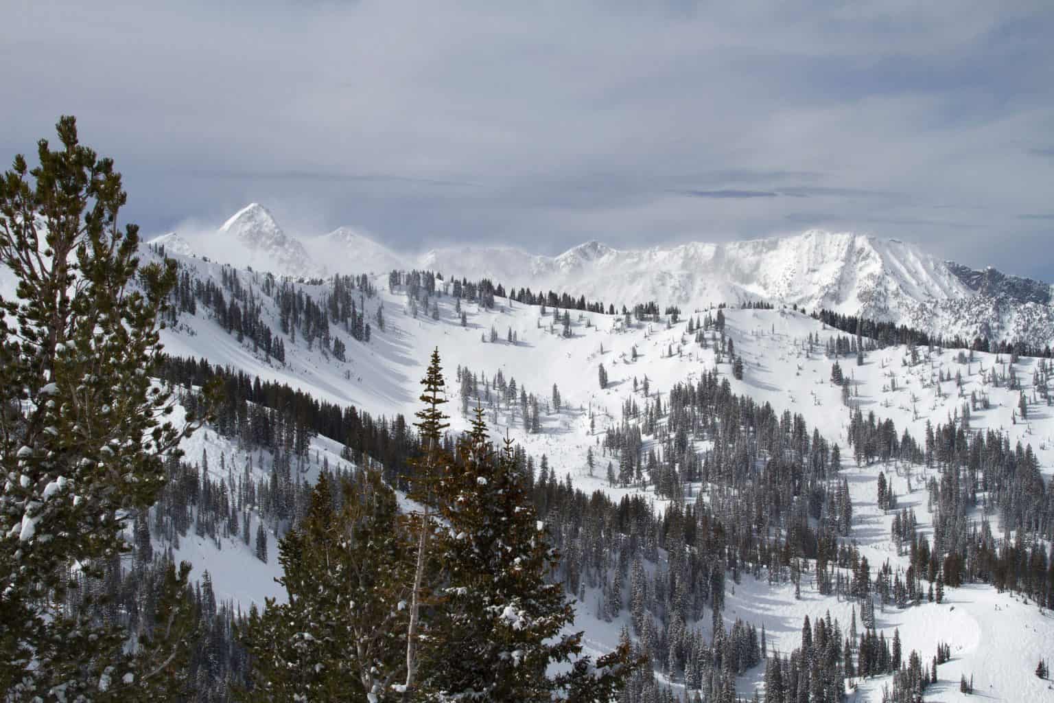 Everything You Need to Know About Snowbird - MountainWatch Travel