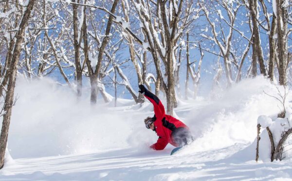 Appi Kogen Trail Map | Appi Kogen Map | Mountainwatch