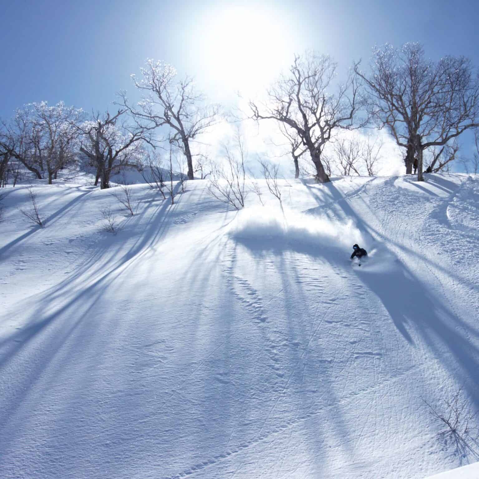 Myoko Kogen Weather | Myoko Kogen Snow Forecast | Mountainwatch