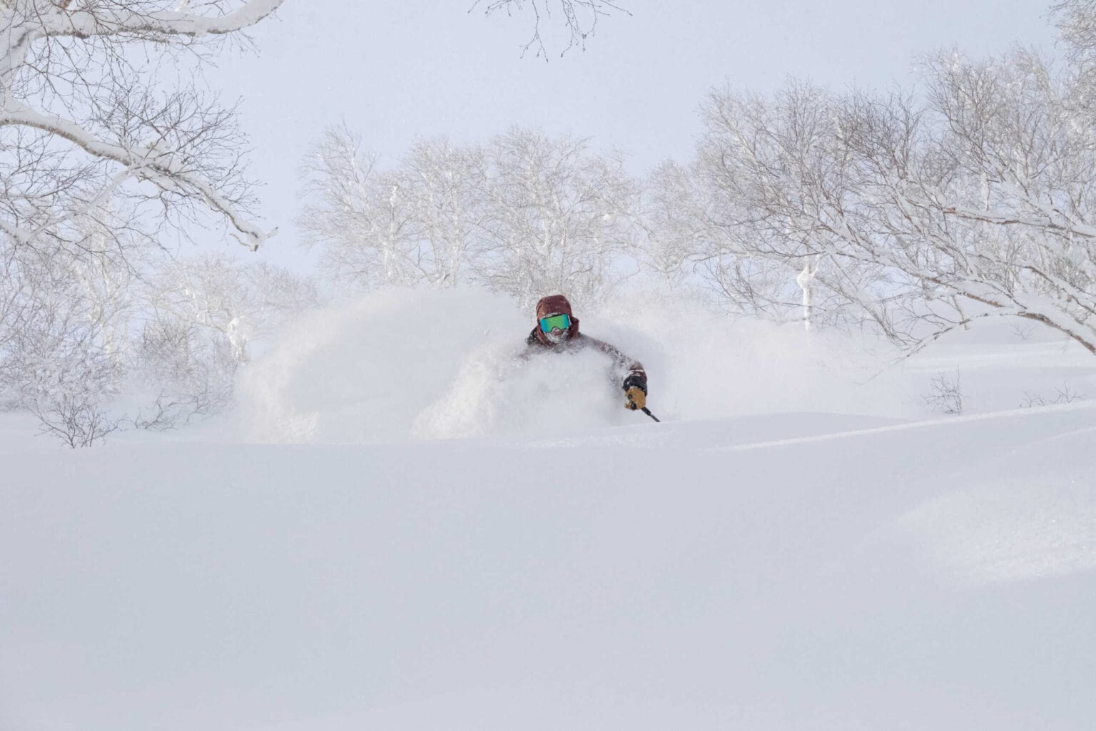 Snow Machine Returns to Hakuba Valley in 2026 – With a Monster Lineup Locked In - MountainWatch ...